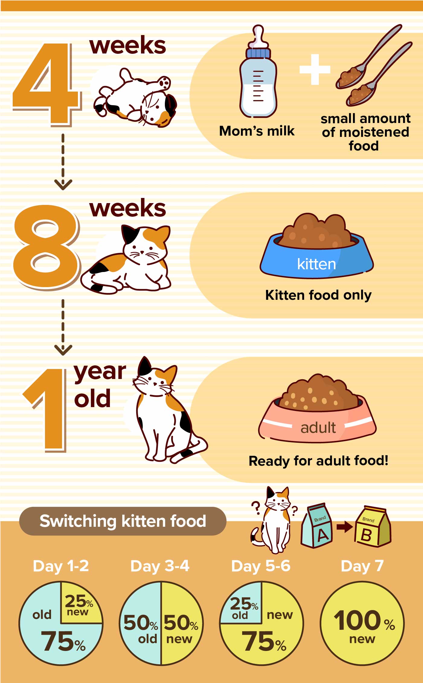 10 Best Kitten Food in the Philippines 2026 | Buying Guide Reviewed by ...