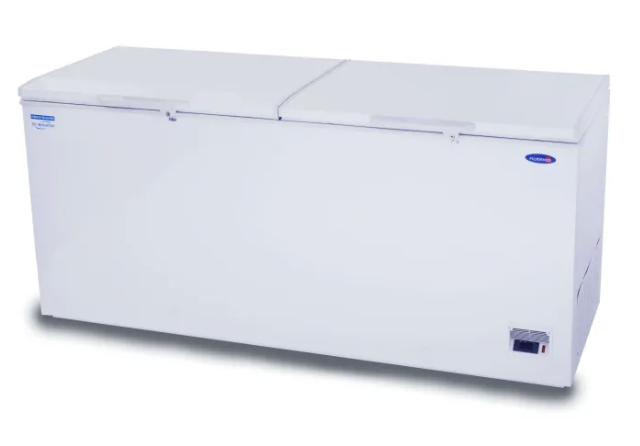 10 Best Inverter Chest Freezers in the Philippines 2026 | Fujidenzo ...