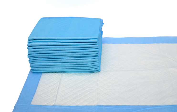 10 Best Underpads in the Philippines 2026 | mybest
