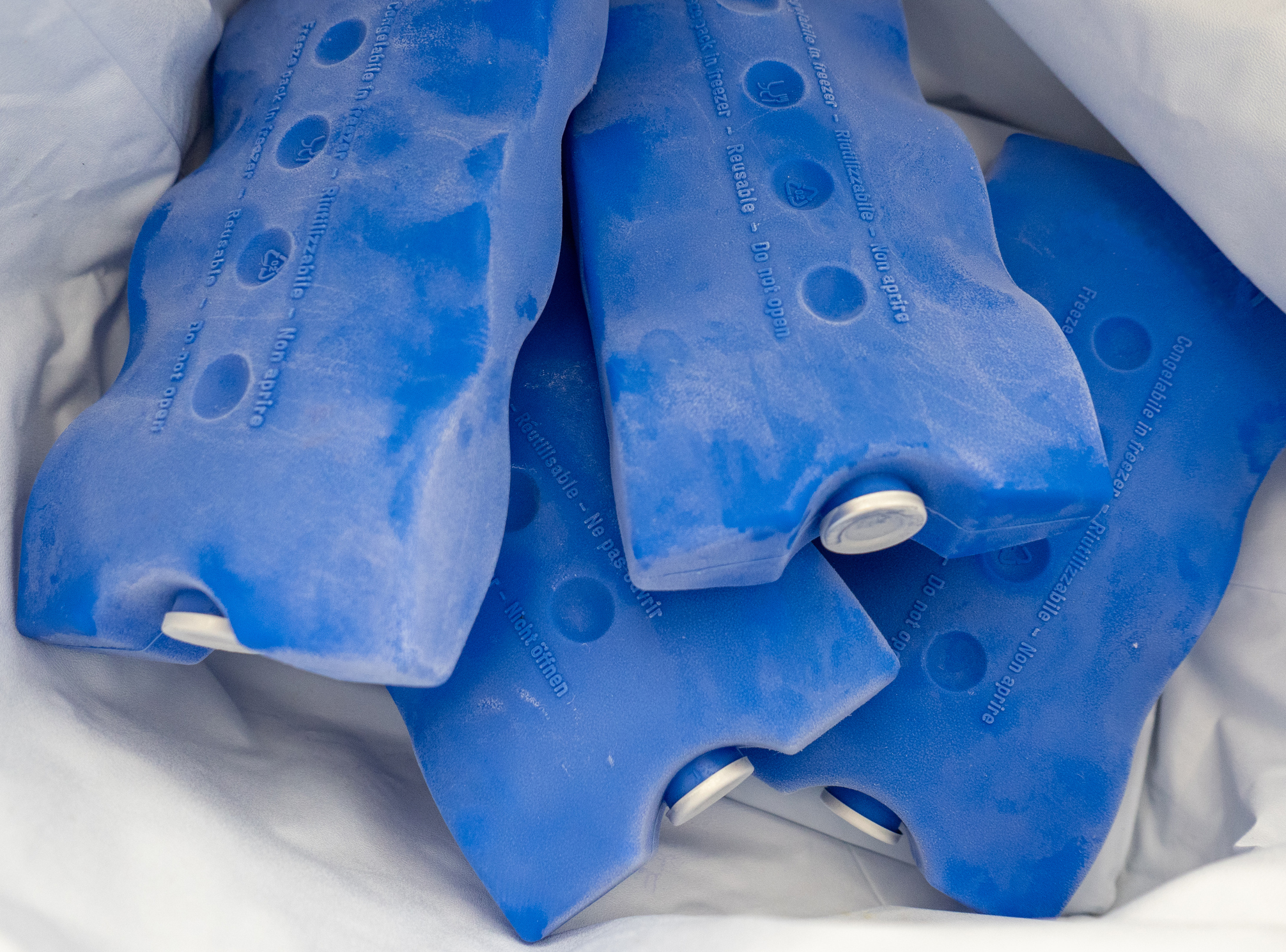 10 Best Ice Packs in the Philippines 2026 | Igloo, Coleman, and More ...