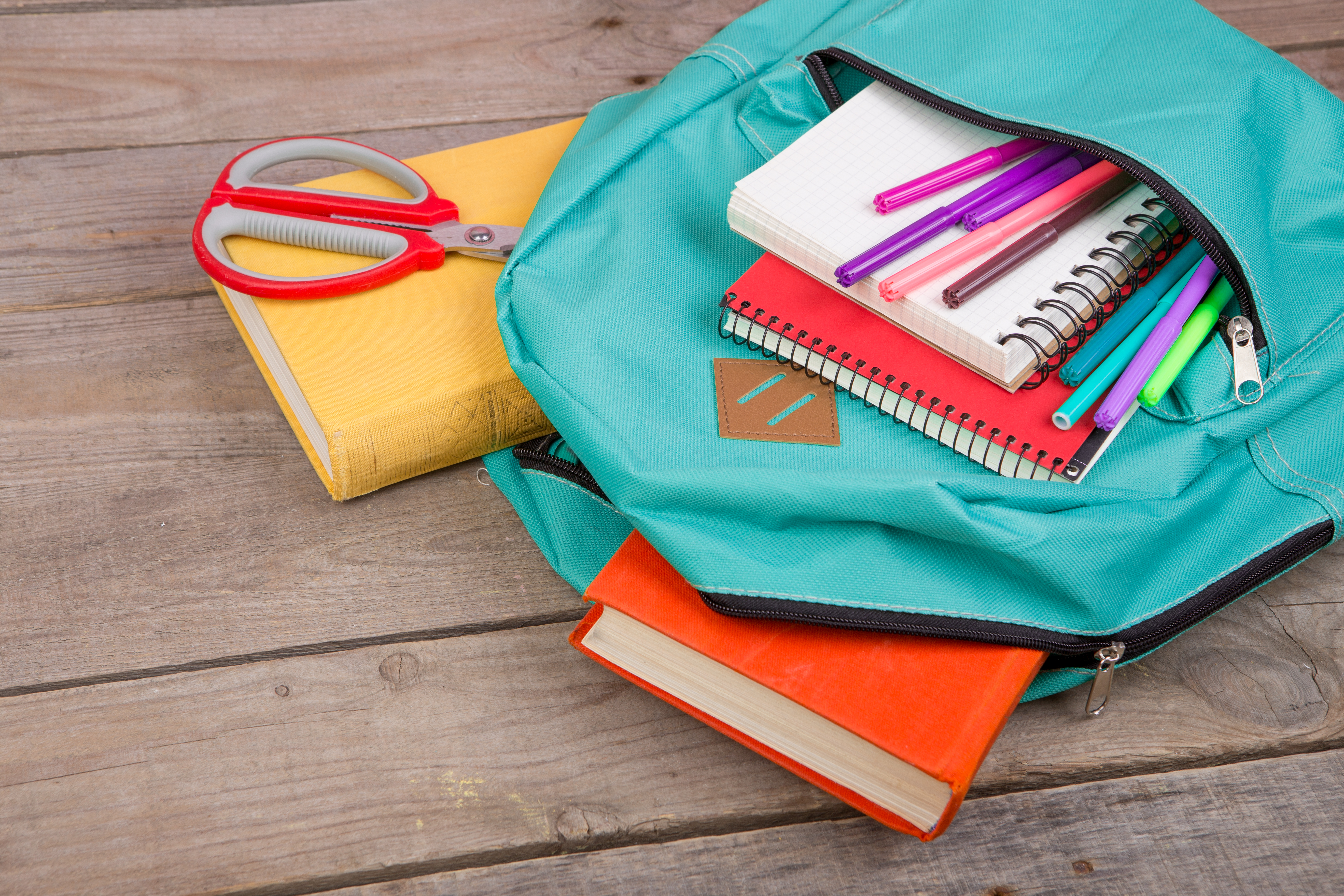 10 Best Backpacks for School in the Philippines 2026 | Hawk, JanSport ...