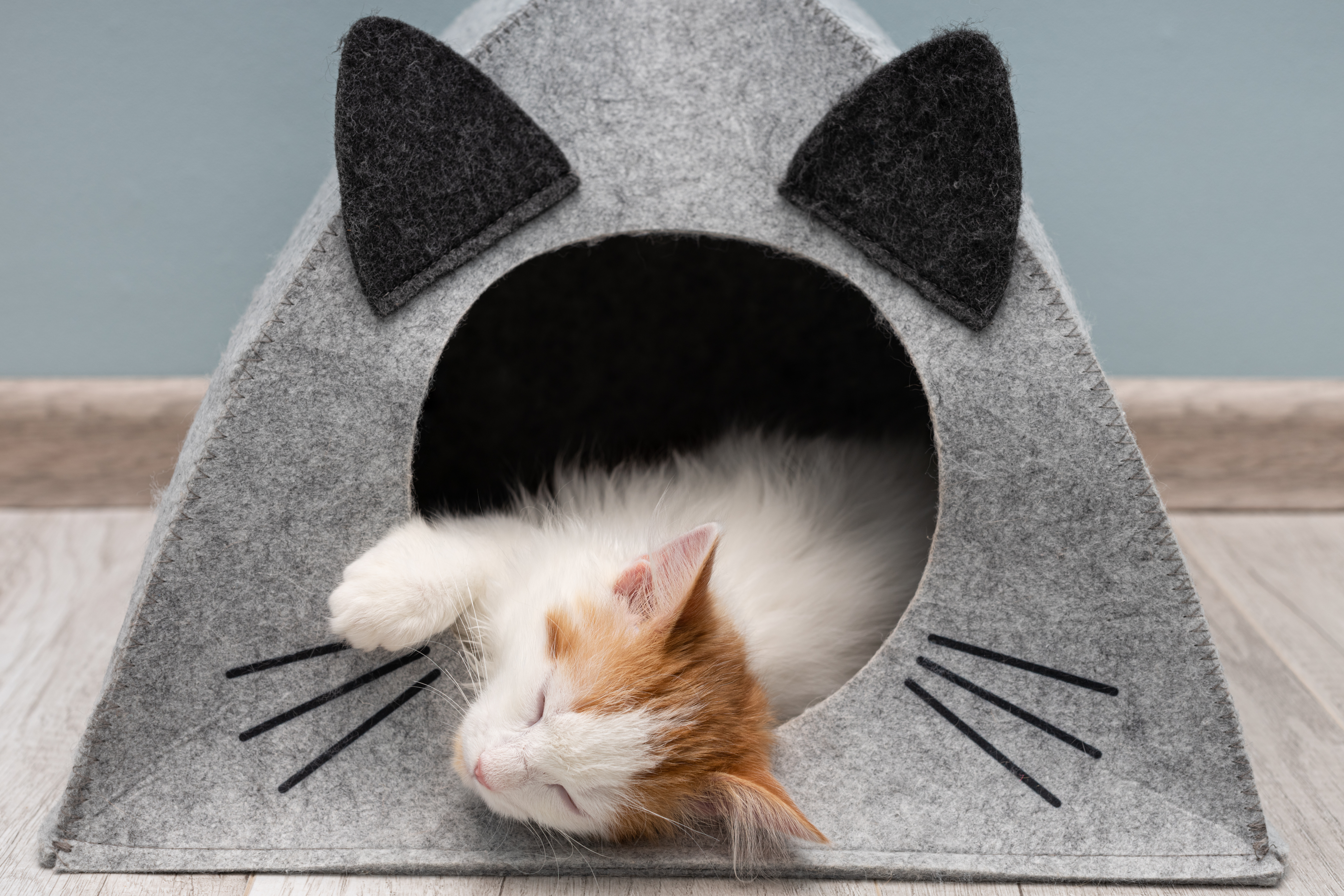 10 Best Cat Houses in the Philippines 2026 | mybest
