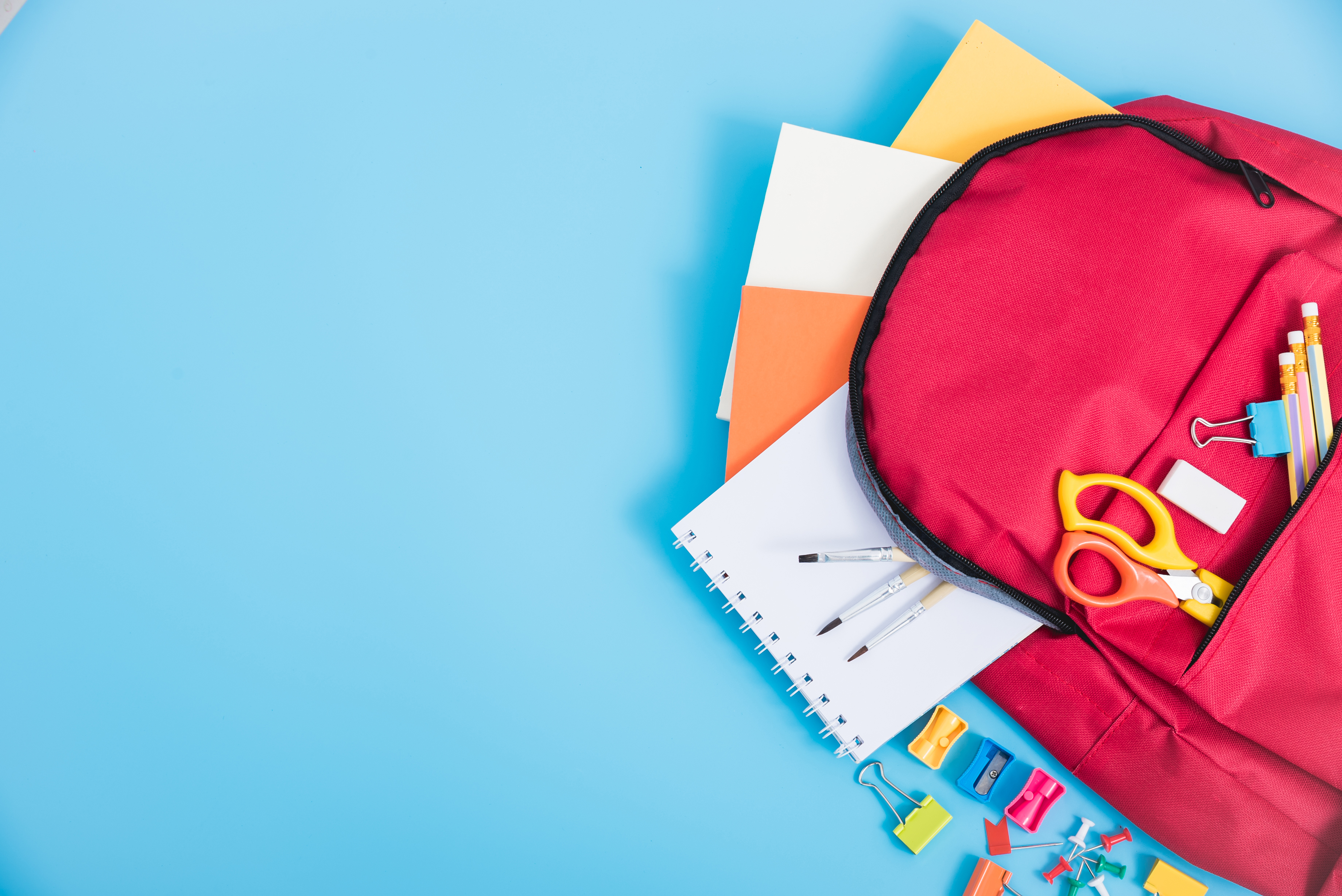 10 Best Backpacks for School in the Philippines 2026 | Hawk, JanSport ...